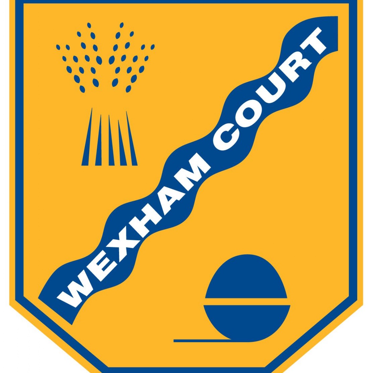 Wexham Court Primary - England Athletics Inclusion Award